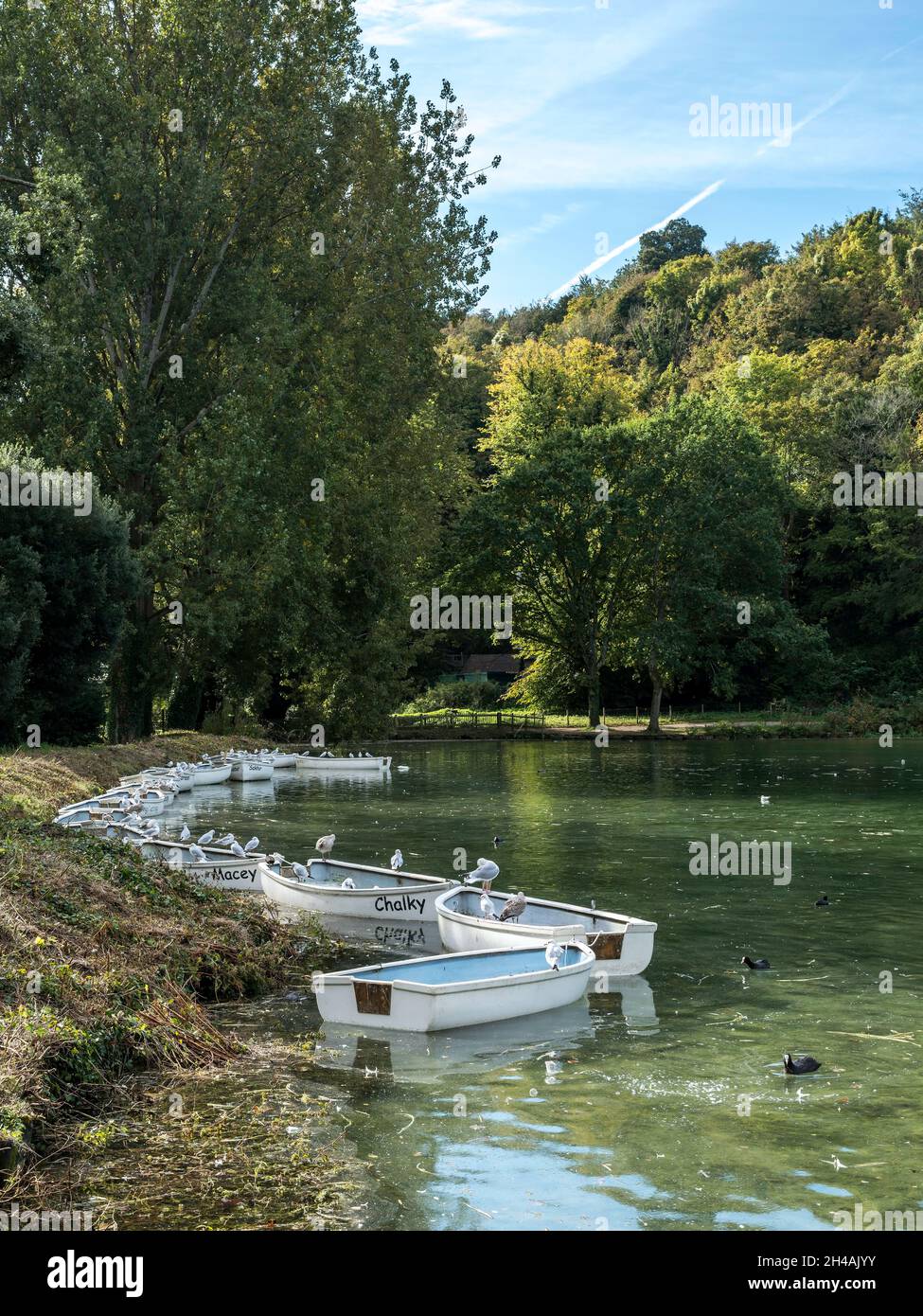 Arundel Swanbourne Lake, West Sussex, Uk Stock Photo - Alamy