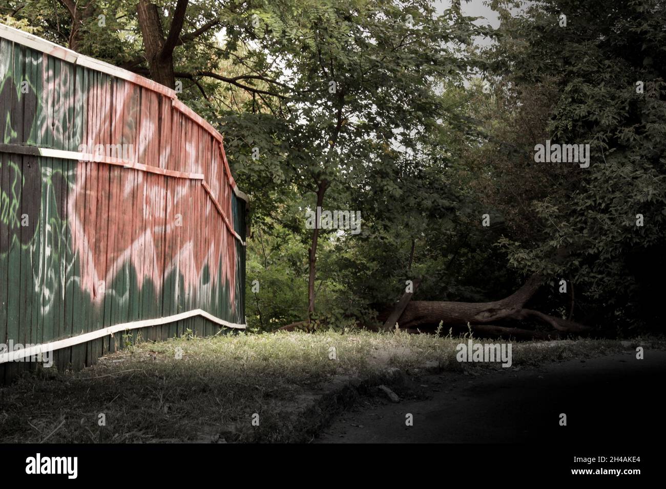 wooden wall with graffiti in the forest Stock Photo - Alamy
