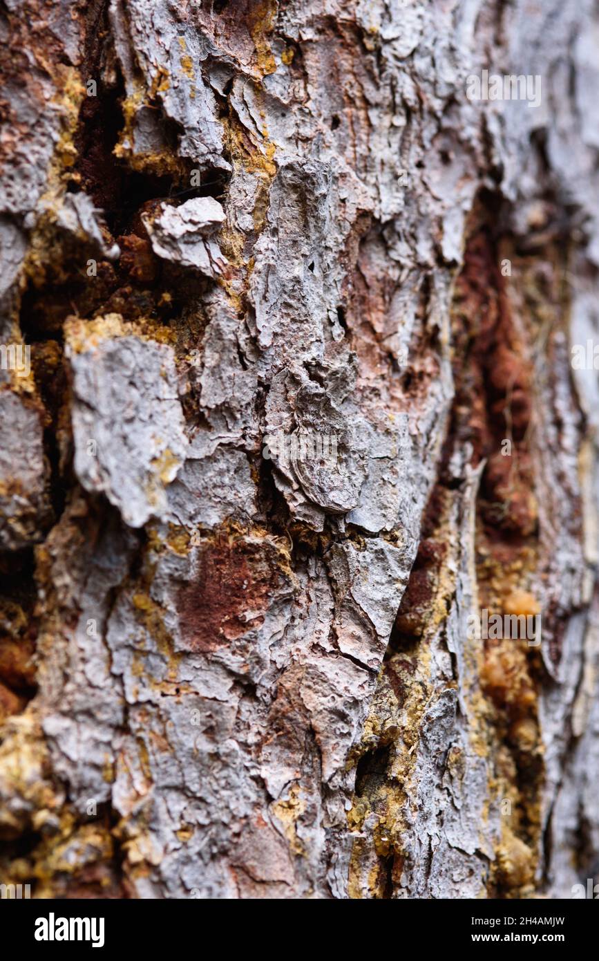 Streaks of resin hi-res stock photography and images - Alamy