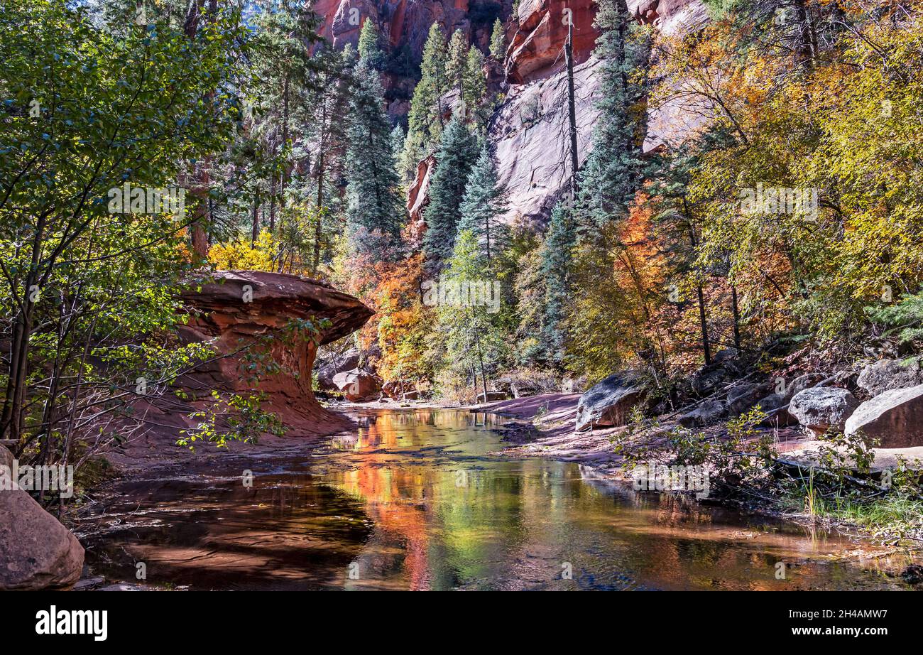 Sedoan hi-res stock photography and images - Alamy