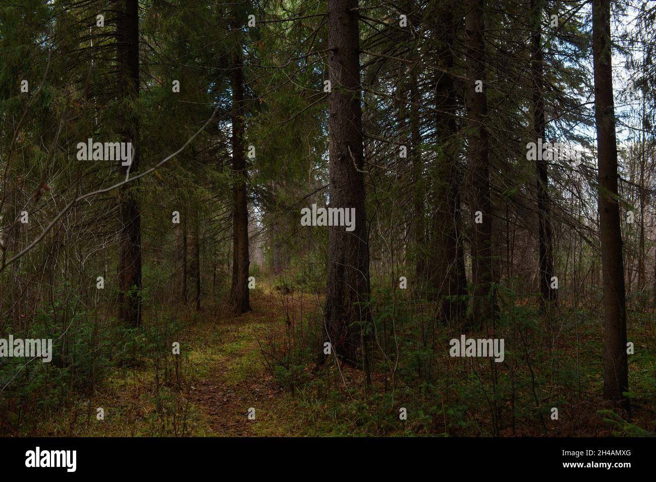 Picturesque pathway hi-res stock photography and images - Alamy