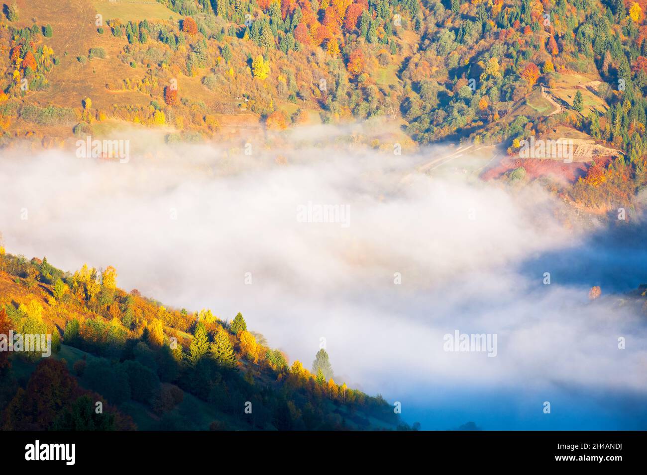 mist in the valley. beautiful autumn morning scenery in mountains ...