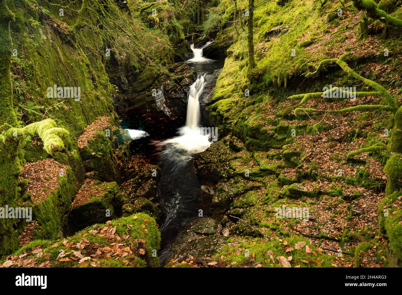 Cynfal waterfall hi-res stock photography and images - Alamy
