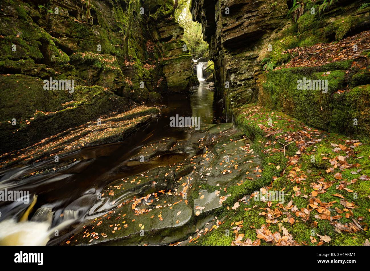 Waterfall on the Cynfal river ravine Stock Photo - Alamy