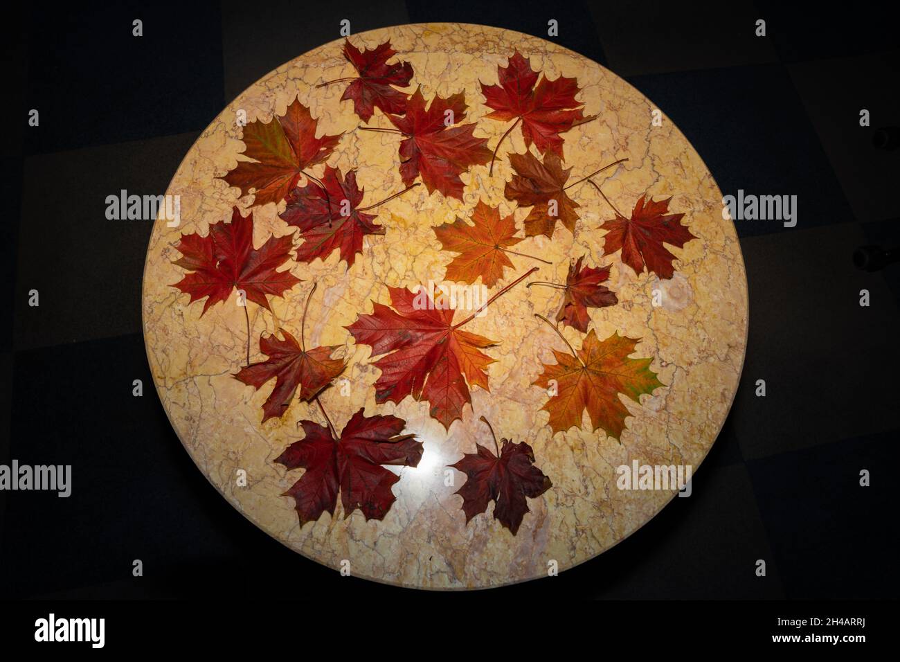 Red and yellow sycamore leaves on a marble background Stock Photo - Alamy