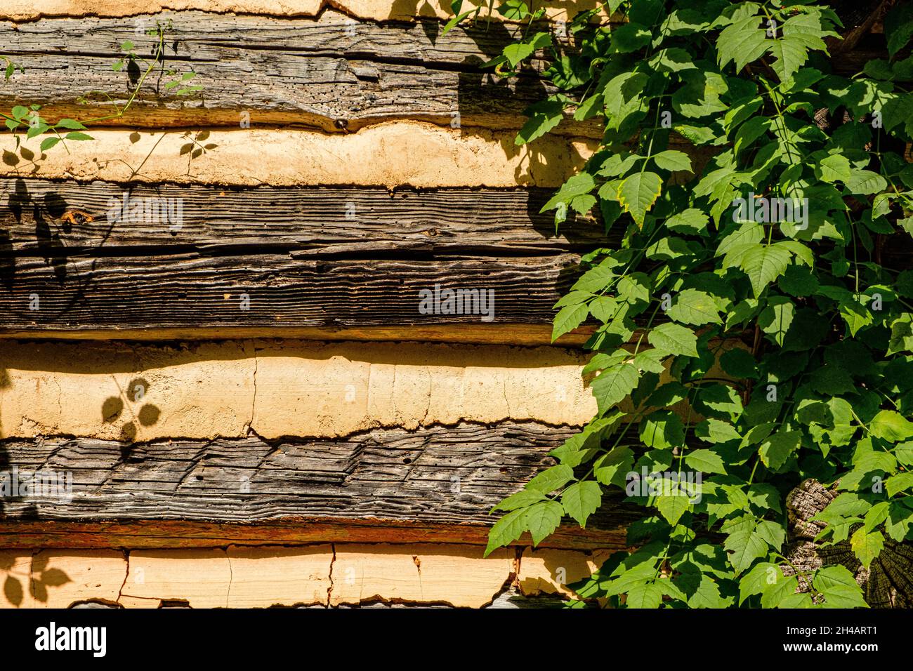 Blacksmith Shop, The Foxfire Museum & Heritage Center, Mountain City, Georgia Stock Photo - Alamy