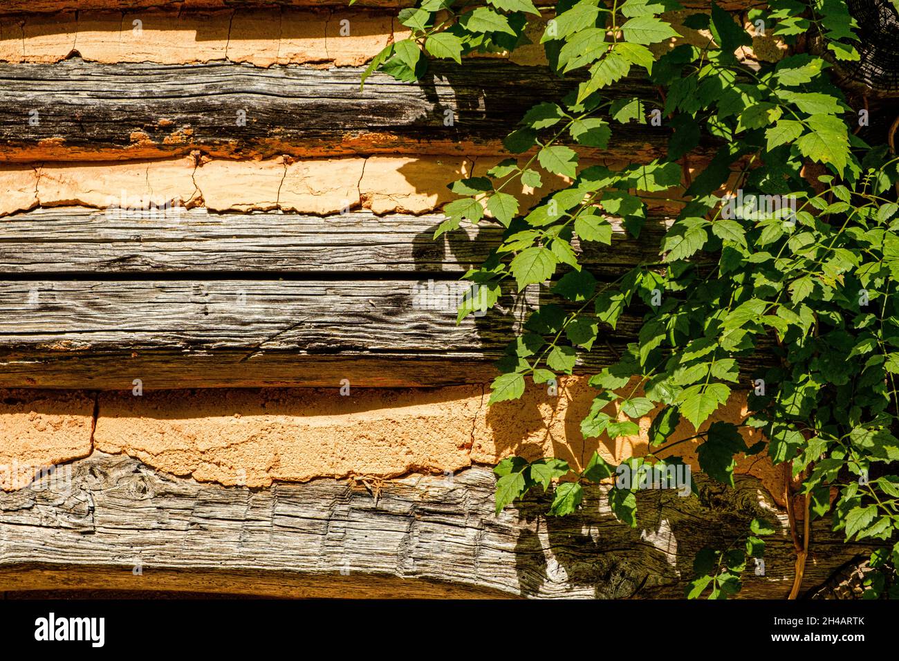 Blacksmith Shop, The Foxfire Museum & Heritage Center, Mountain City, Georgia Stock Photo - Alamy