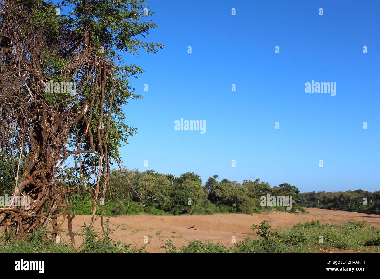 Mphongolo river hi-res stock photography and images - Alamy