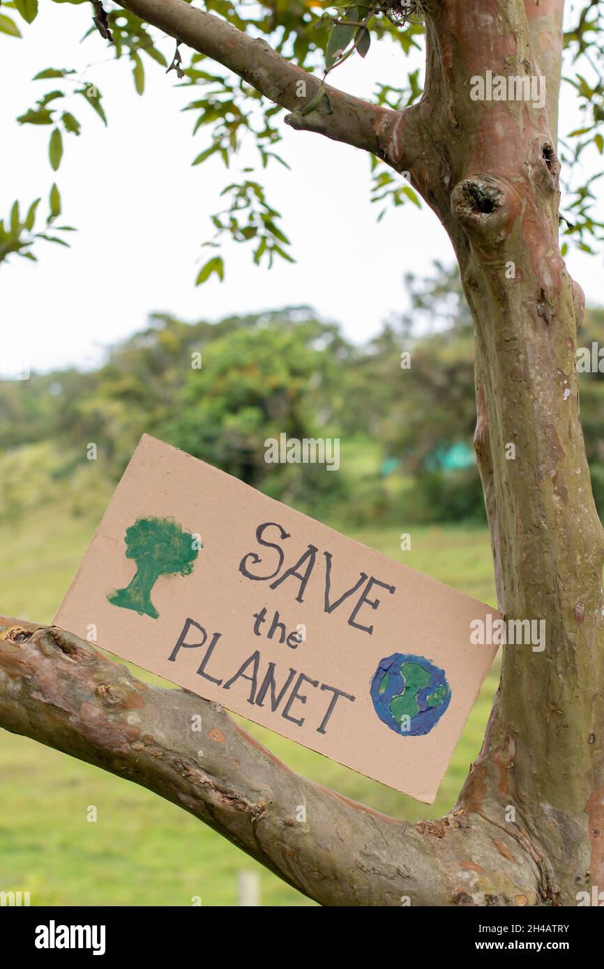 Poster On Save Trees For Kids