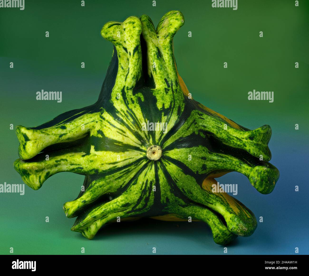 Oddly shaped fruit hi-res stock photography and images - Alamy