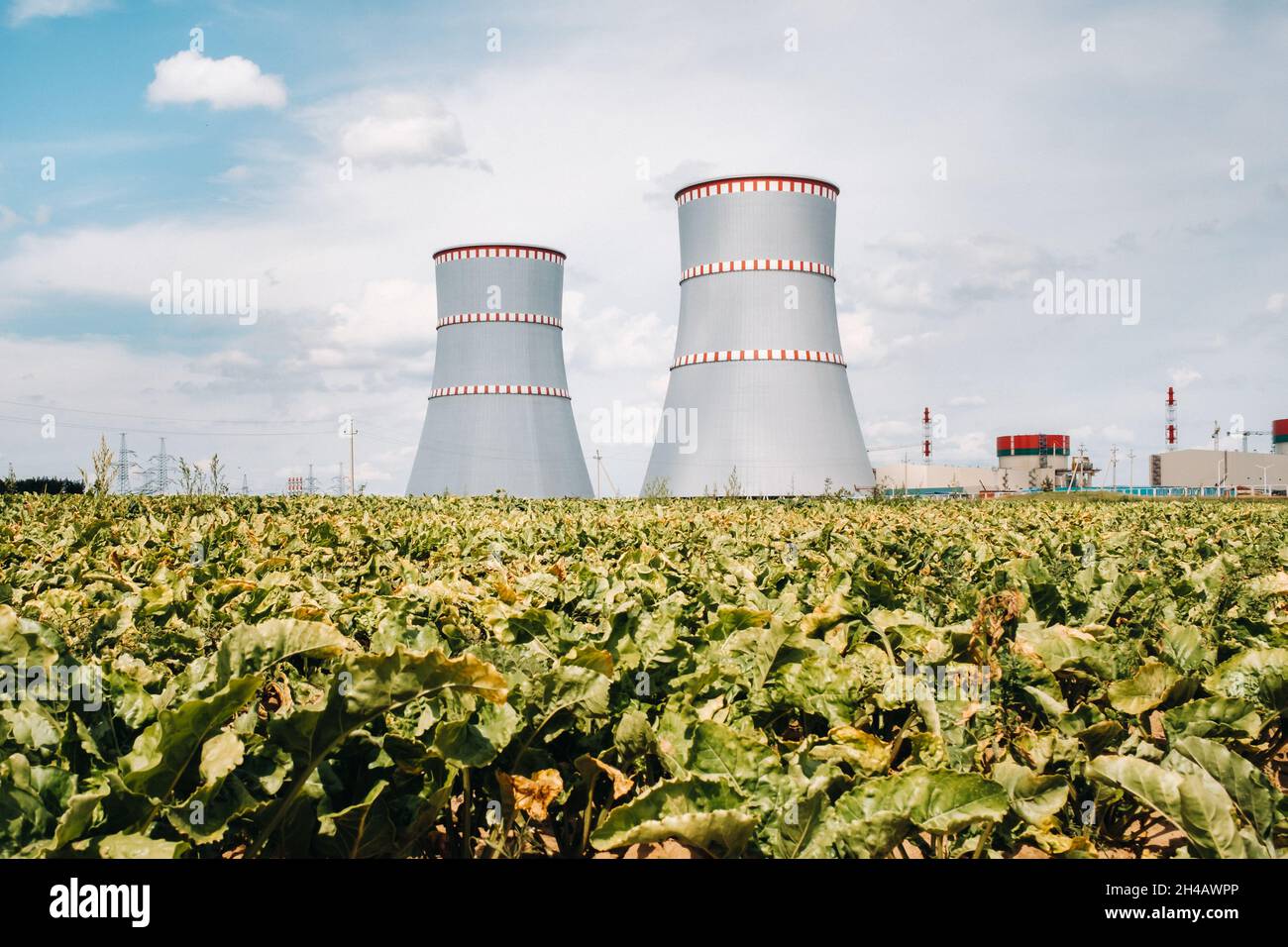 Belarusian nuclear power plant in Ostrovets district.Field around the ...