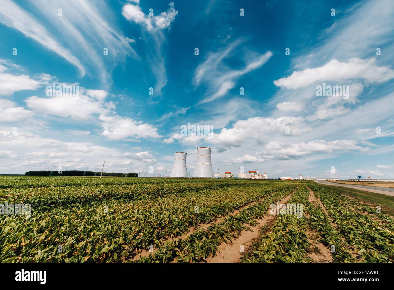 Field near the nuclear power plant in the Ostrovetsky district.Field ...