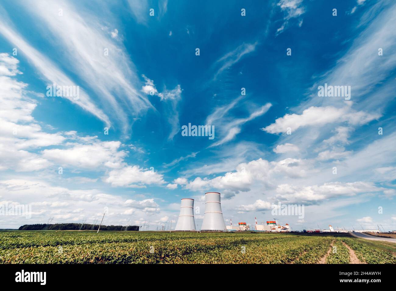 Field near the nuclear power plant in the Ostrovetsky district.Field ...