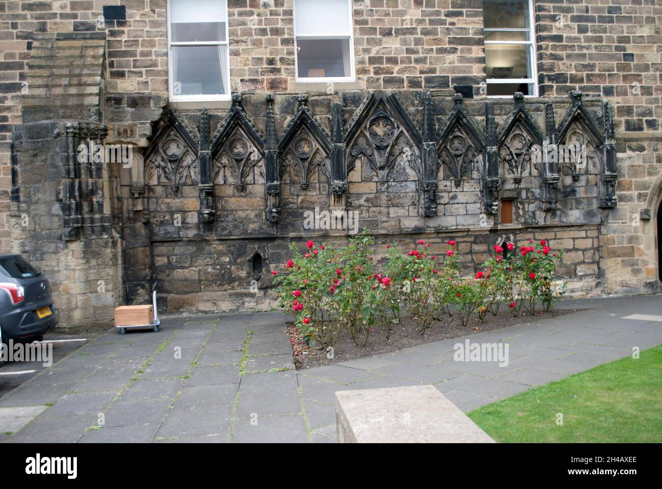Wall outside Hexham Abbey with bed of red roses, Hexham, Northumberland ...