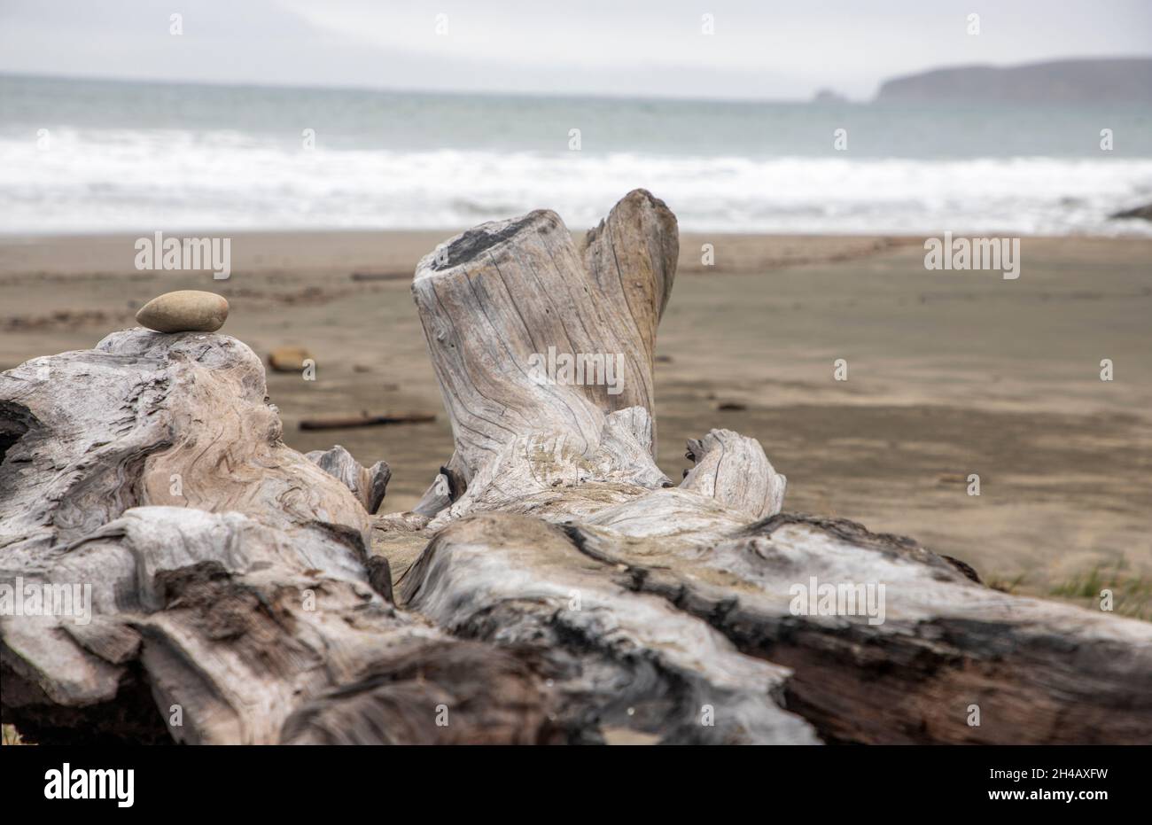 Point Reyes National Seashore is un Marin County on the Pacific coast ...