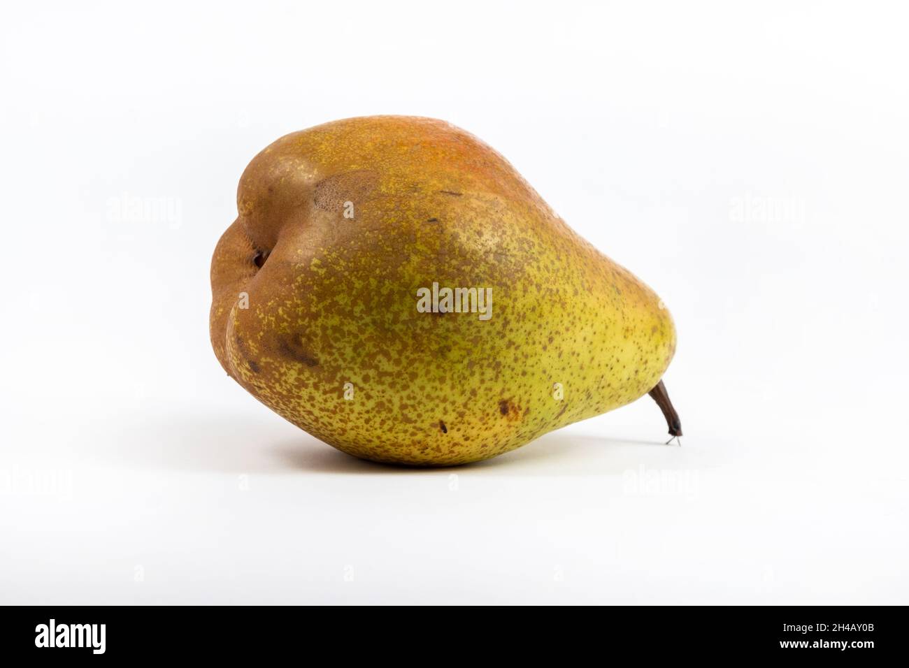 Large pear tree hi-res stock photography and images - Alamy