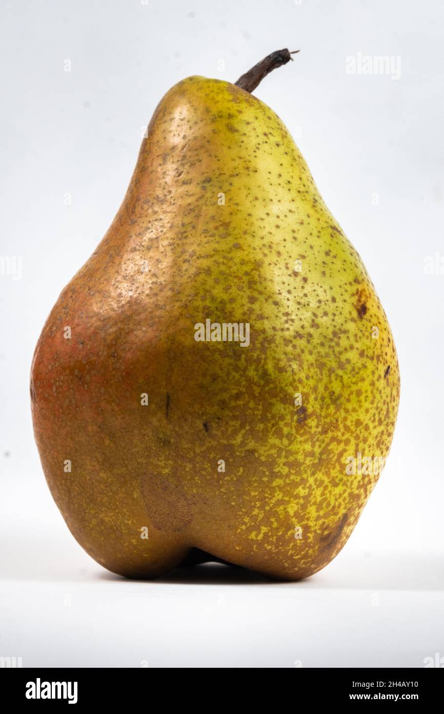 Large pear tree on white isolated background Stock Photo - Alamy