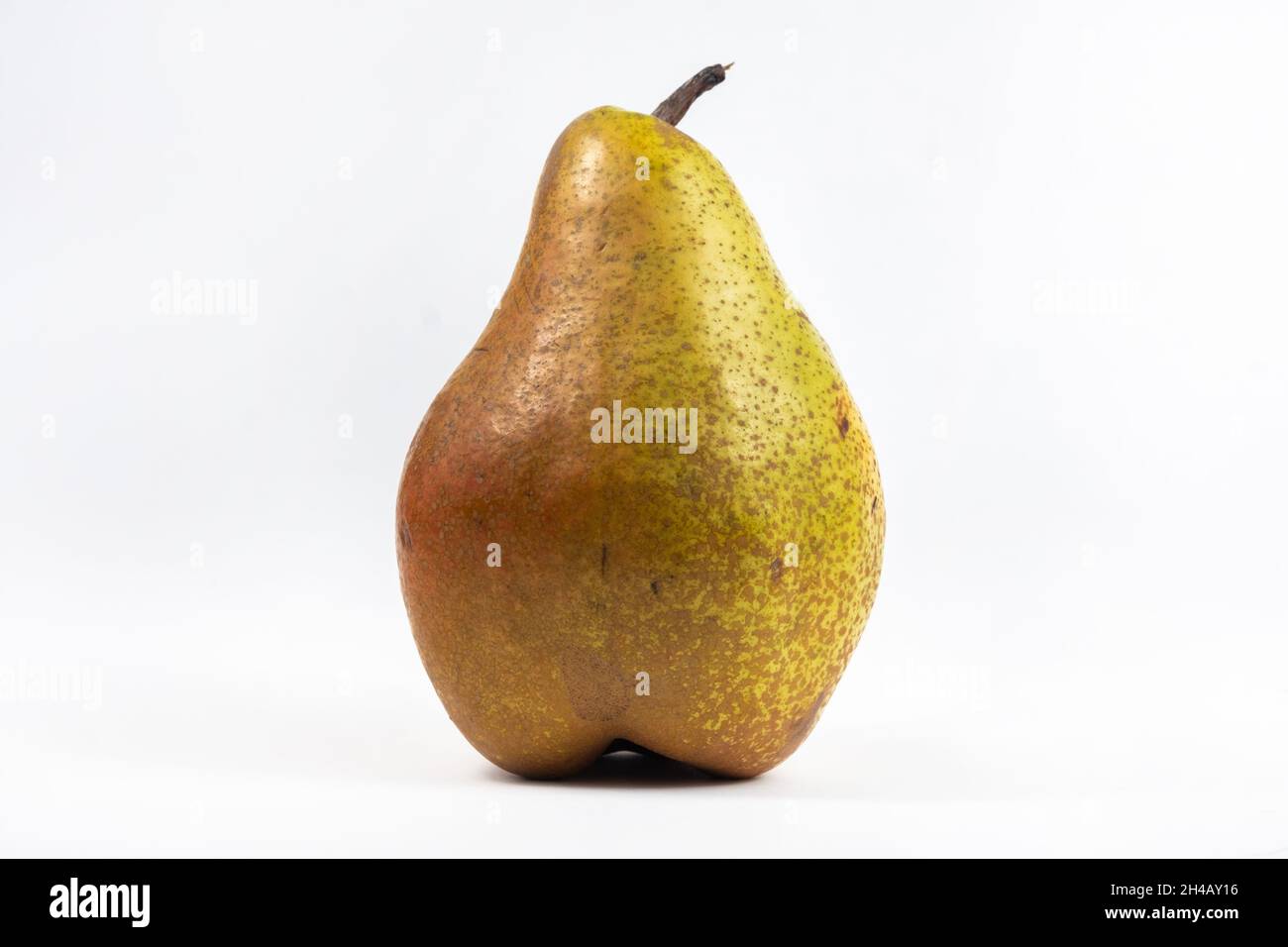 Large pear tree on white isolated background Stock Photo - Alamy