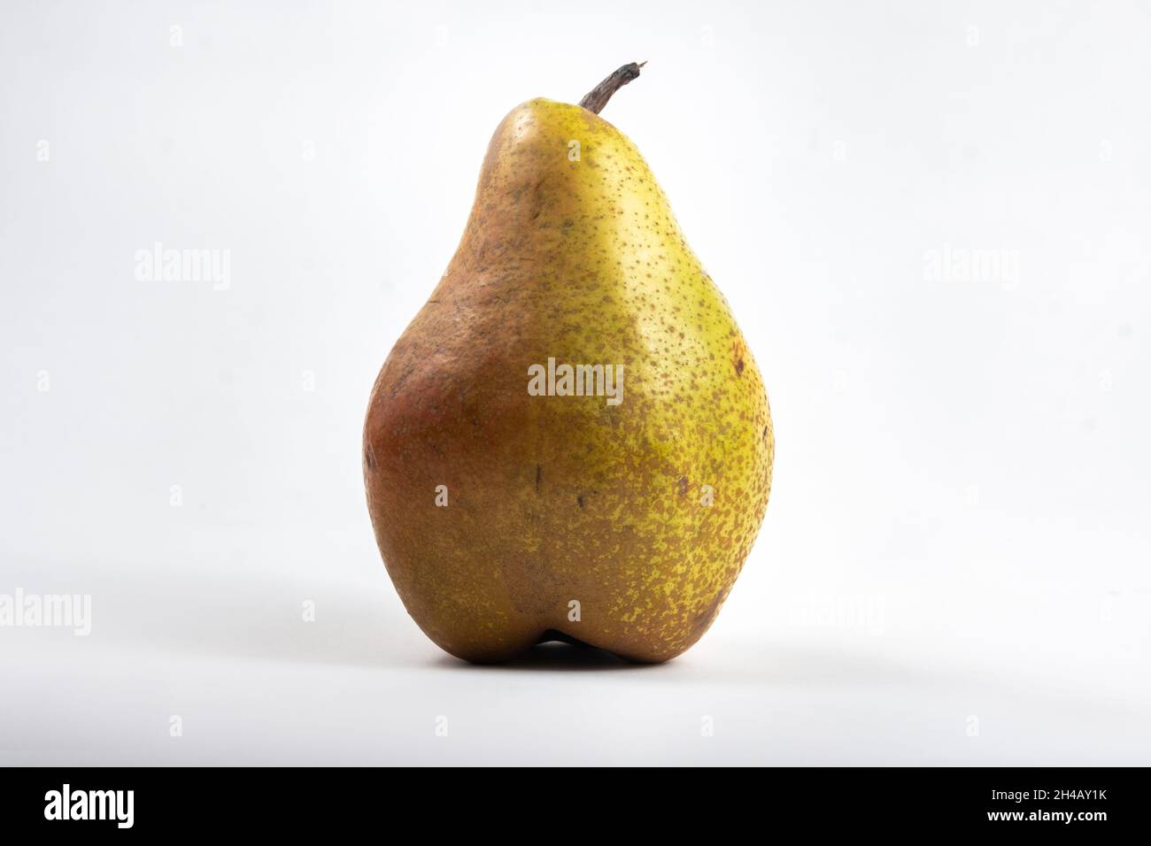 Large pear tree on white isolated background Stock Photo - Alamy