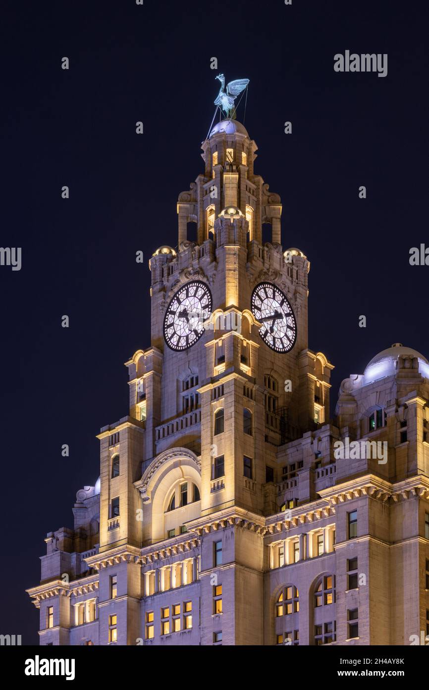 Royal Liver Building at night, Liverpool, England Stock Photo - Alamy