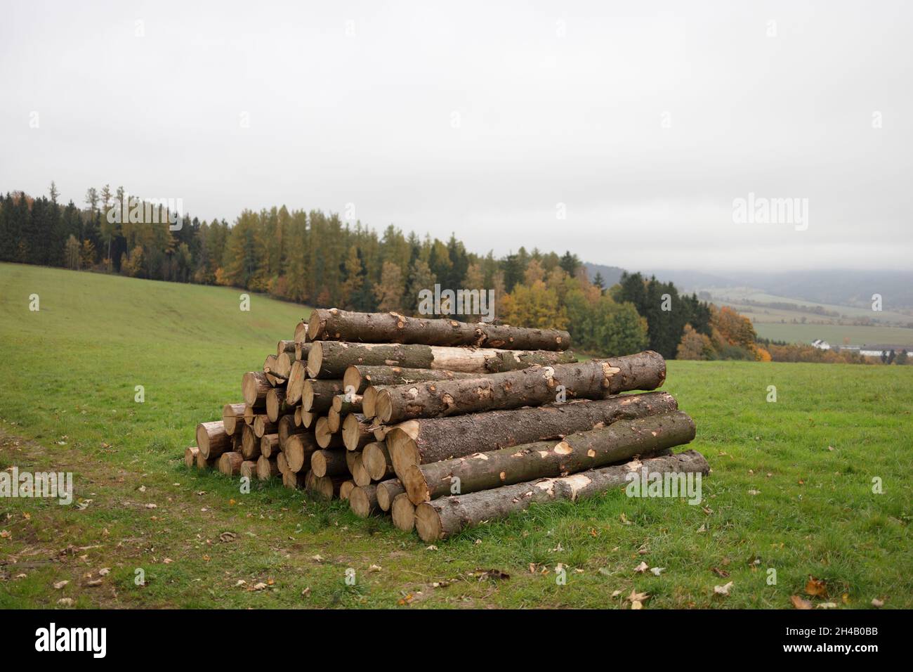 wood, wooden, log, trunk, woodpile, wooden log, tree, forest, timber ...