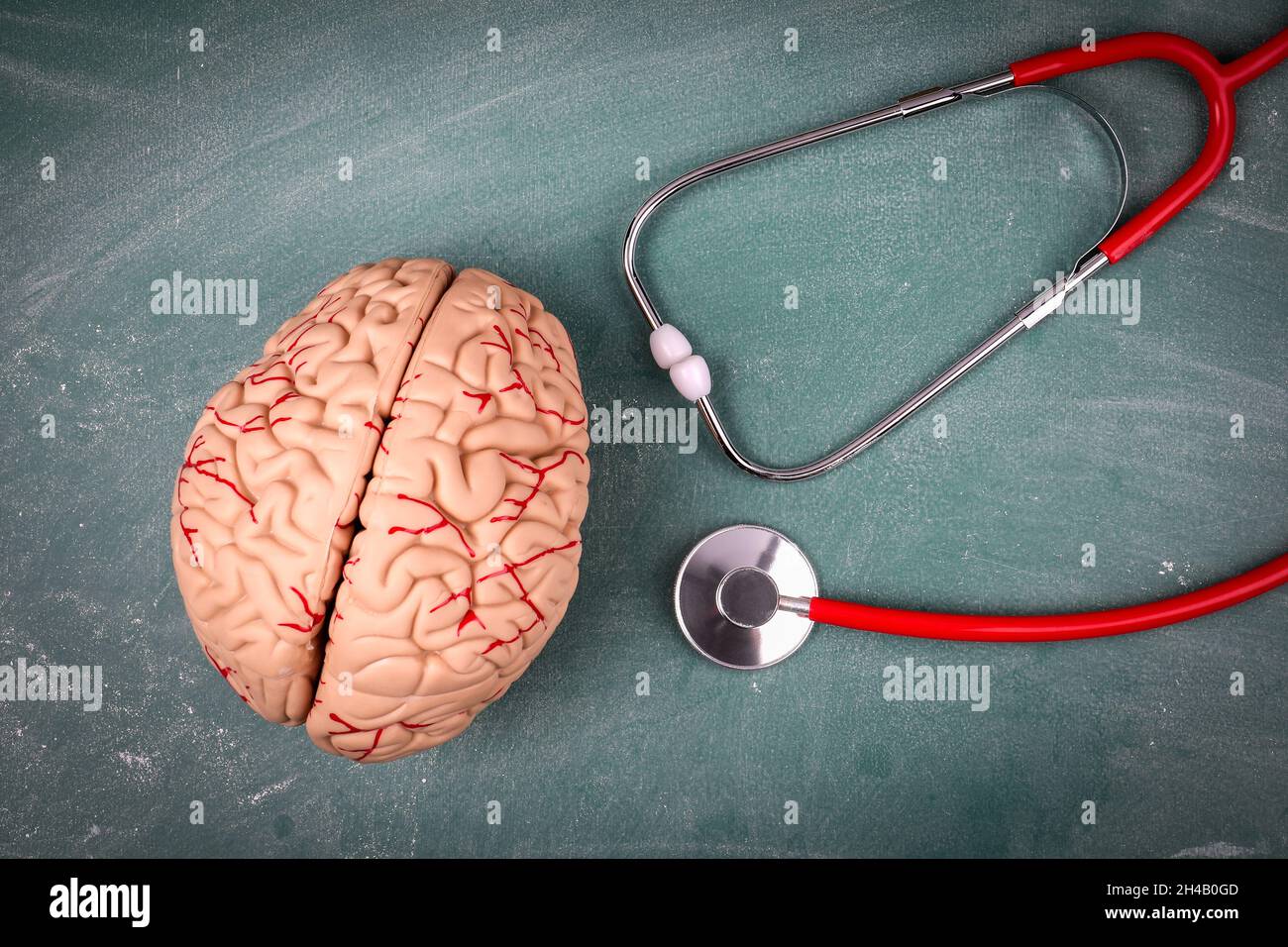 Plastic brain model and doctor's stethoscope. Fake news concept Stock ...