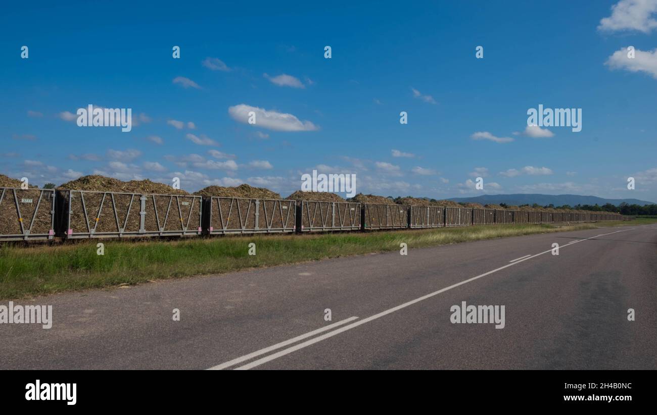 Cane Train, Queensland, Australia Stock Photo - Alamy