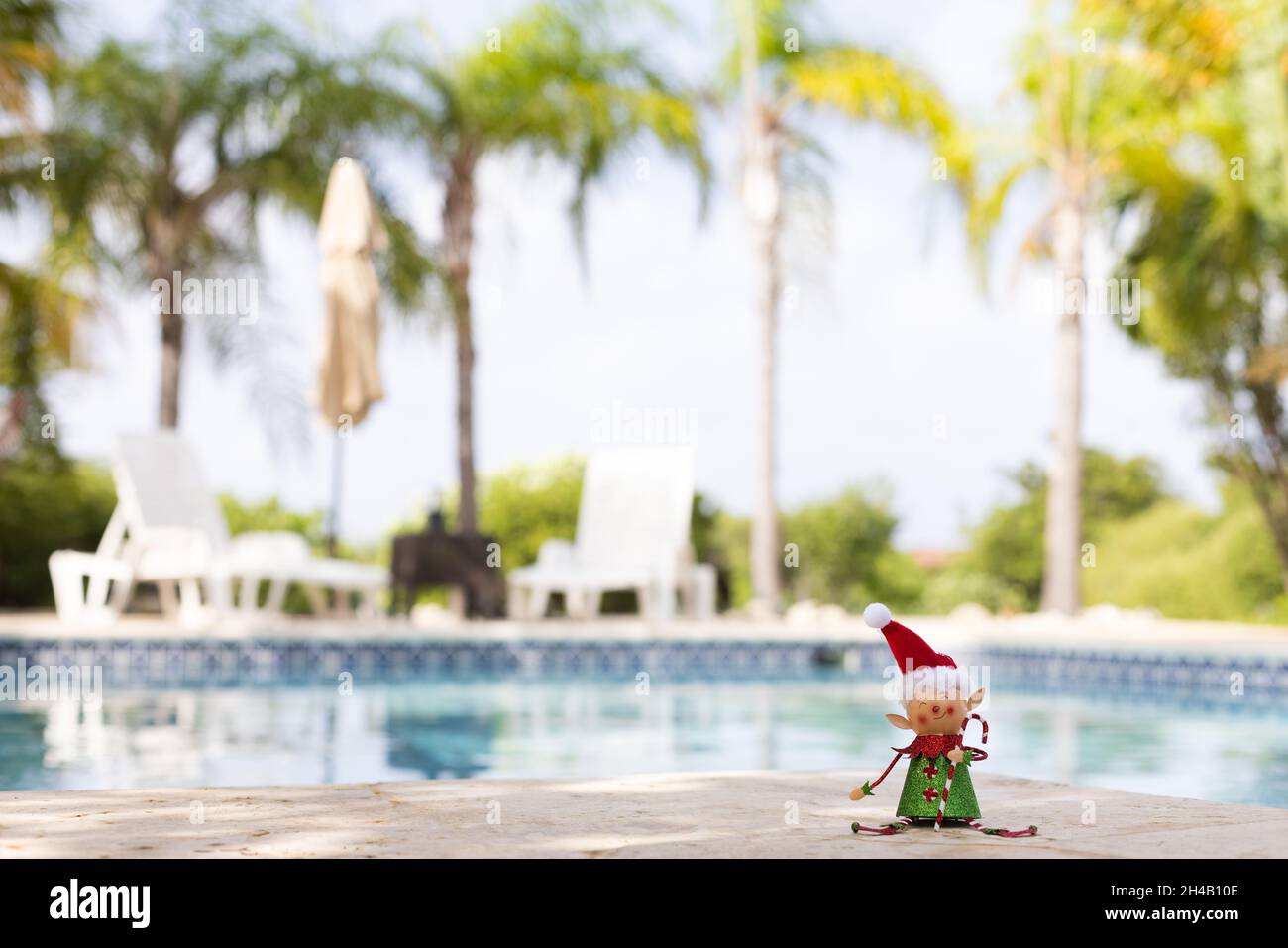 Christmas elf is sitting near swimming pool surrounded by palm trees ...