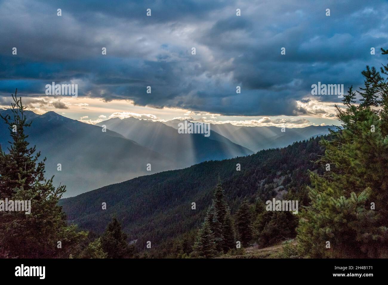 Alpine landscape in the Olympic National Park, Washington State, USA ...