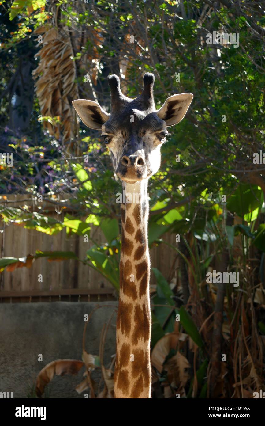 Los Angeles, California, USA 28th October 2021 A general view of ...