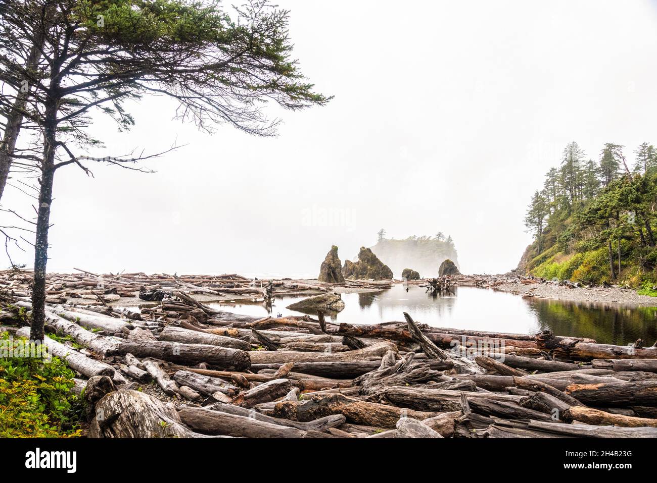 Famous Ruby Beach on the Pacific coast, Olympic National Park, USA ...