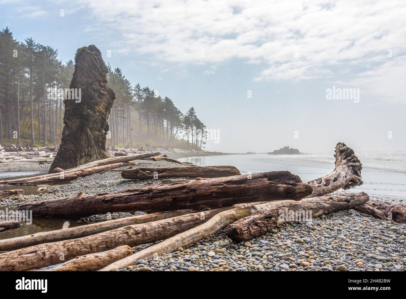 Famous Ruby Beach on the Pacific coast, Olympic National Park, USA ...