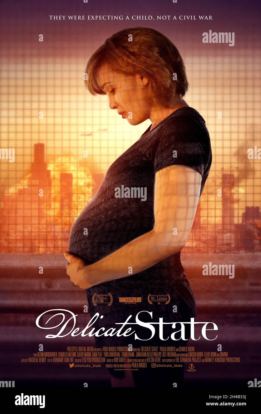 DELICATE STATE, poster, Paula Rhodes, 2021. © High Rhodes Productions ...