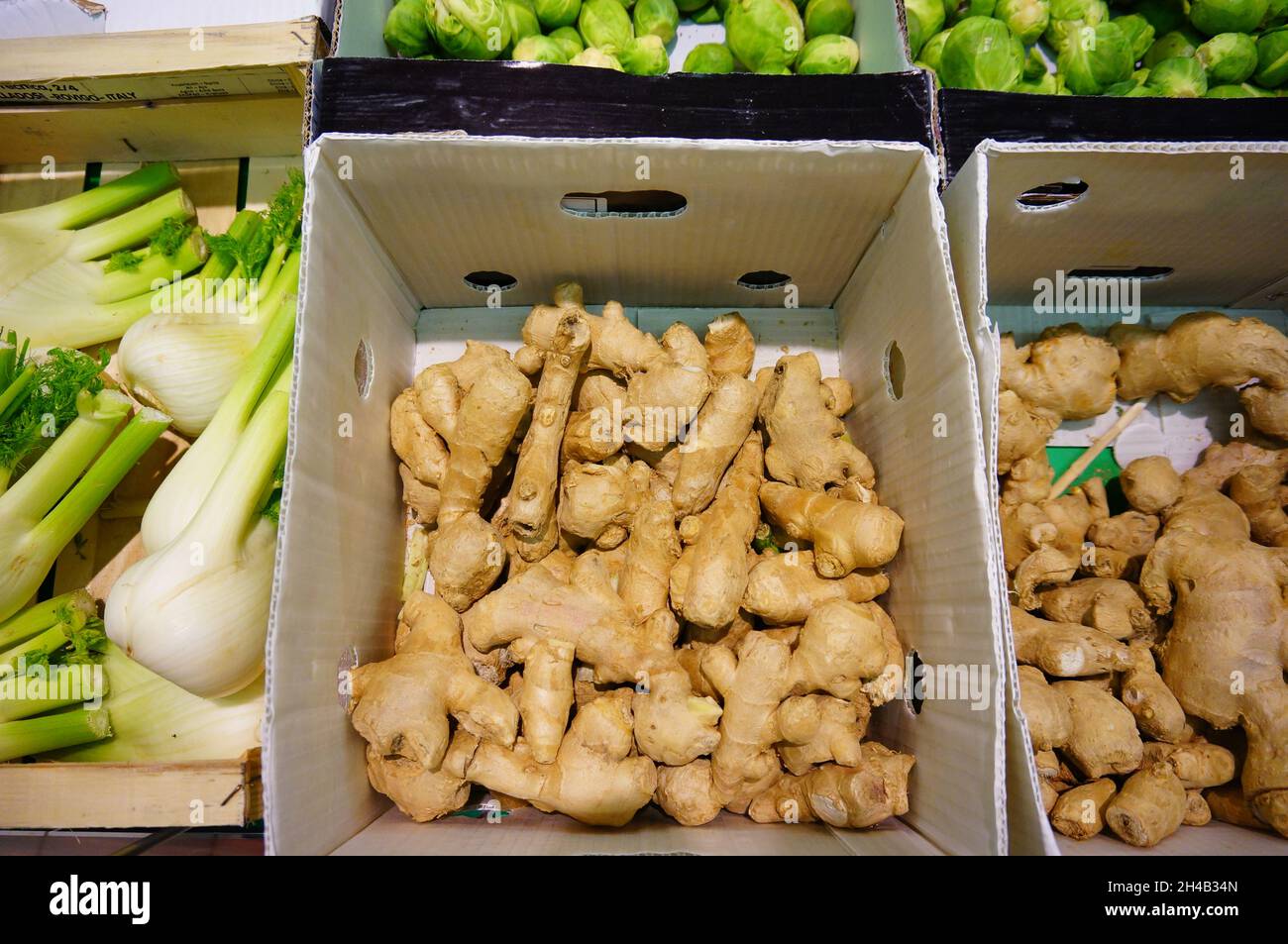 Group ginger hi-res stock photography and images - Alamy