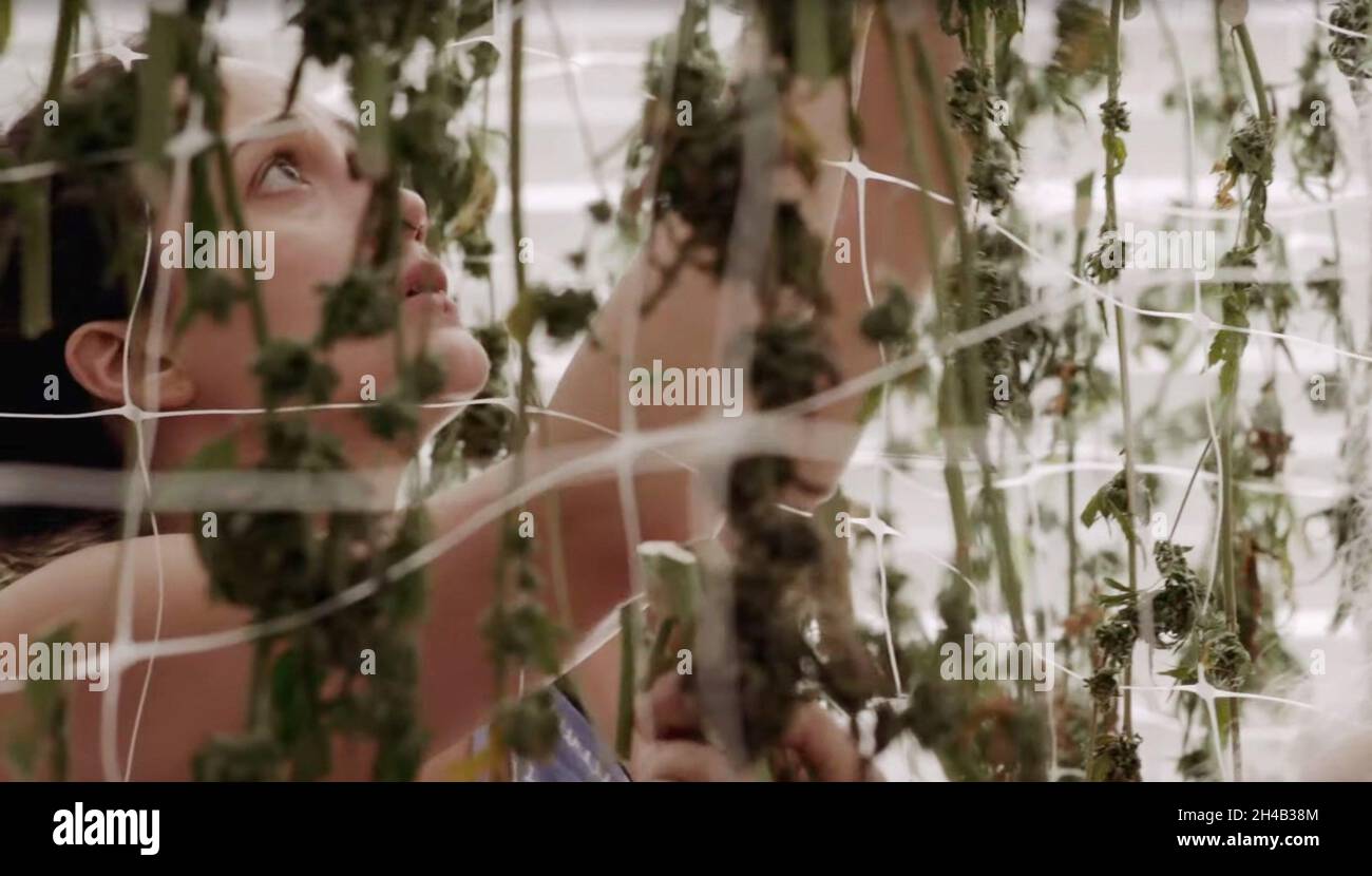 FREELAND, Lily Gladstone, 2020. © Dark Star Pictures /Courtesy Everett ...