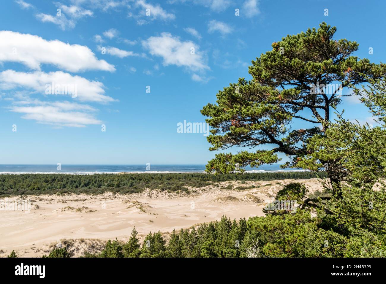 Untouched coastal landscape hi-res stock photography and images - Alamy