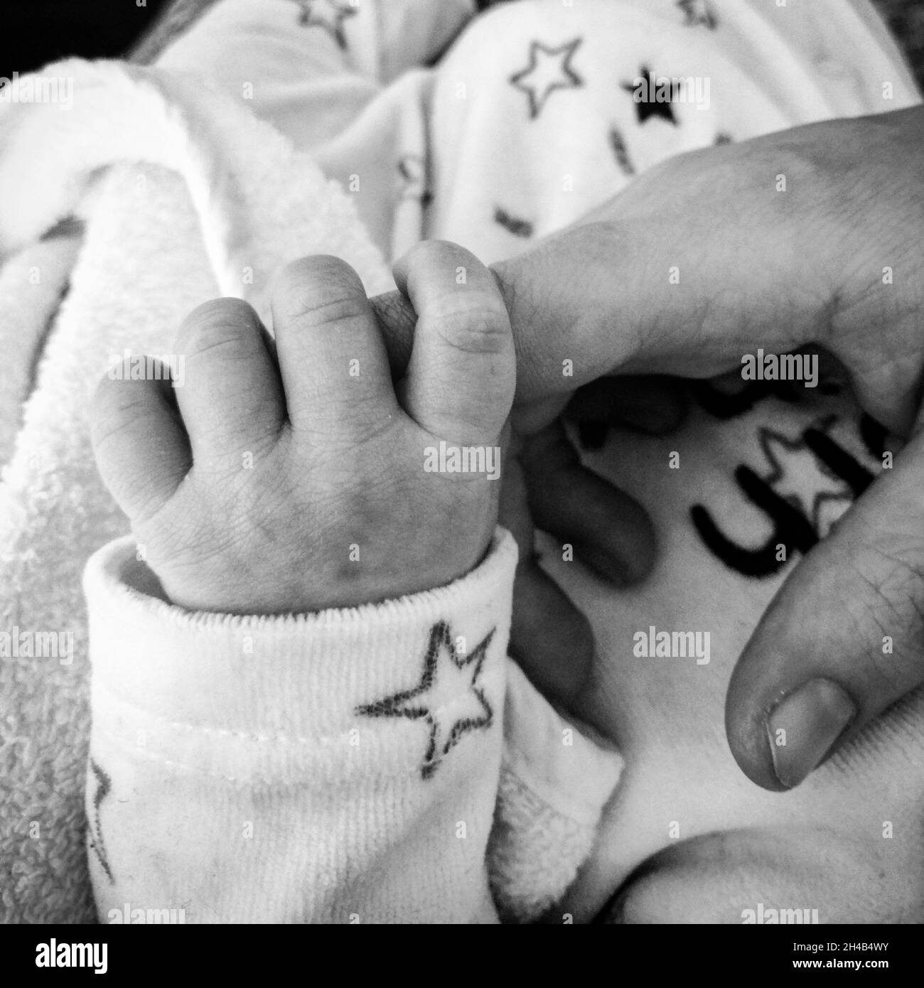 Adult grip hi-res stock photography and images - Alamy