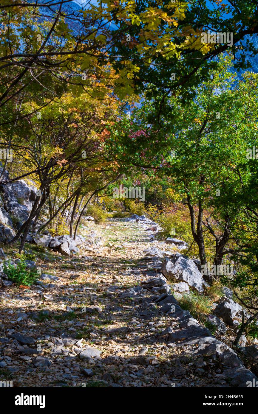 Old pathway hi-res stock photography and images - Alamy