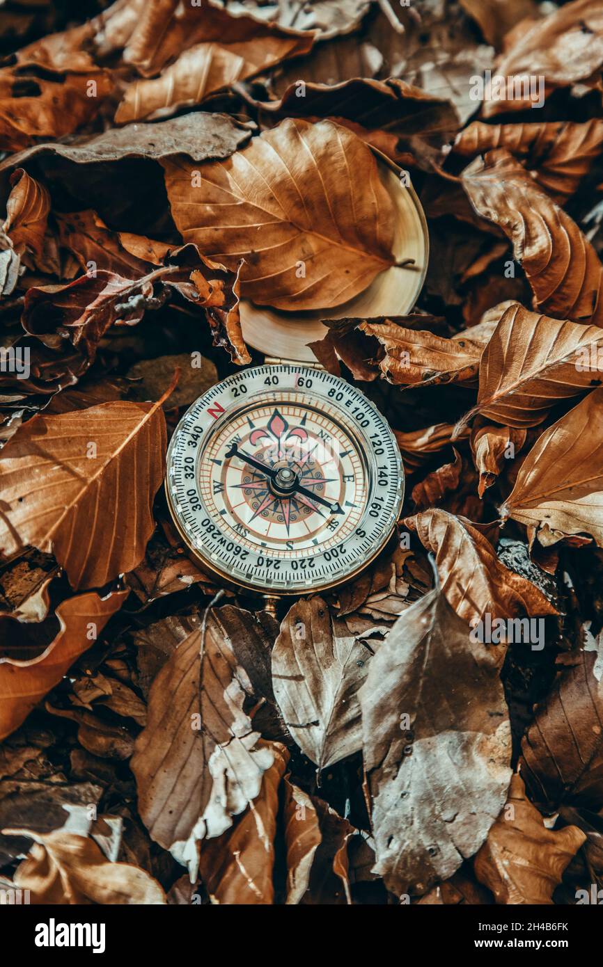 Ancient golden compass among the dry leaves of the forest in autumn ...
