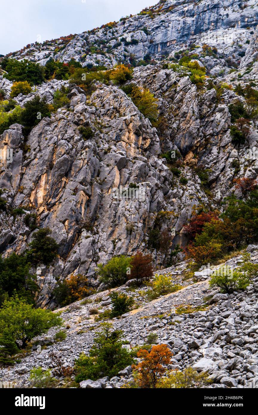 Rocky mountain side with different color stones and trees and bushes ...