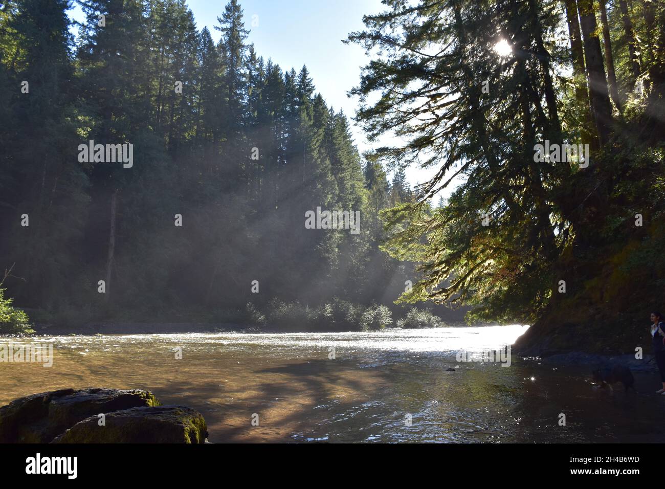 The Lower Lewis River below the waterfalls, a popular hiking and ...