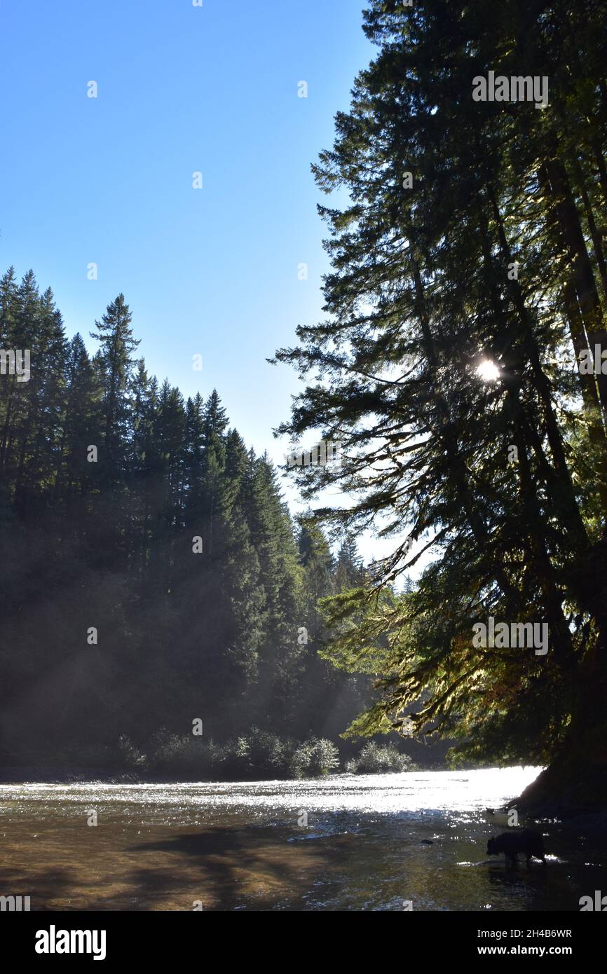 The Lower Lewis River below the waterfalls, a popular hiking and ...