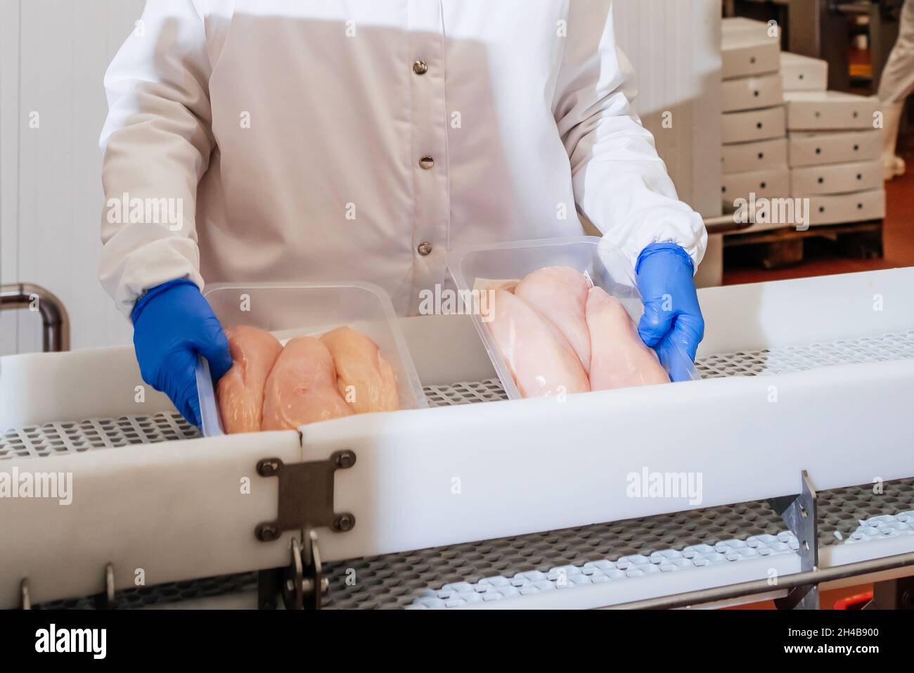 Line for the production of semi-finished meat products.Meat processing ...