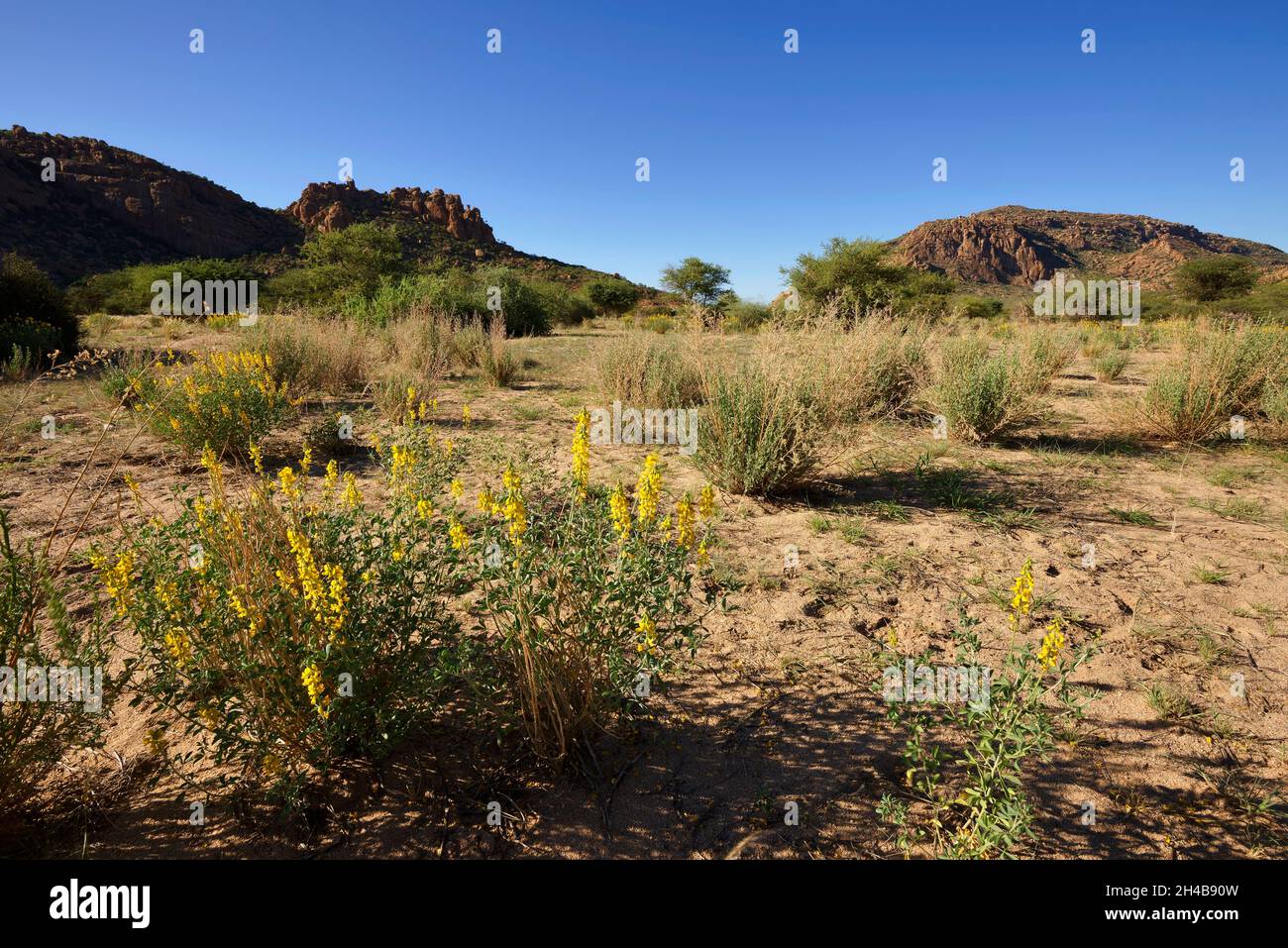 Farm Omandumba (guest farm): Arid farmland in the Erongo Mountains near ...