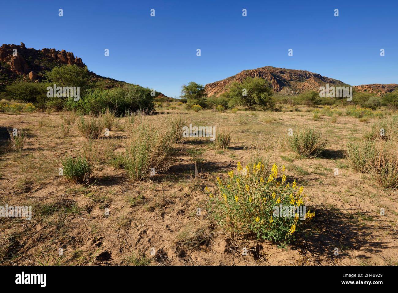 Farm Omandumba (guest farm): Arid farmland in the Erongo Mountains near ...