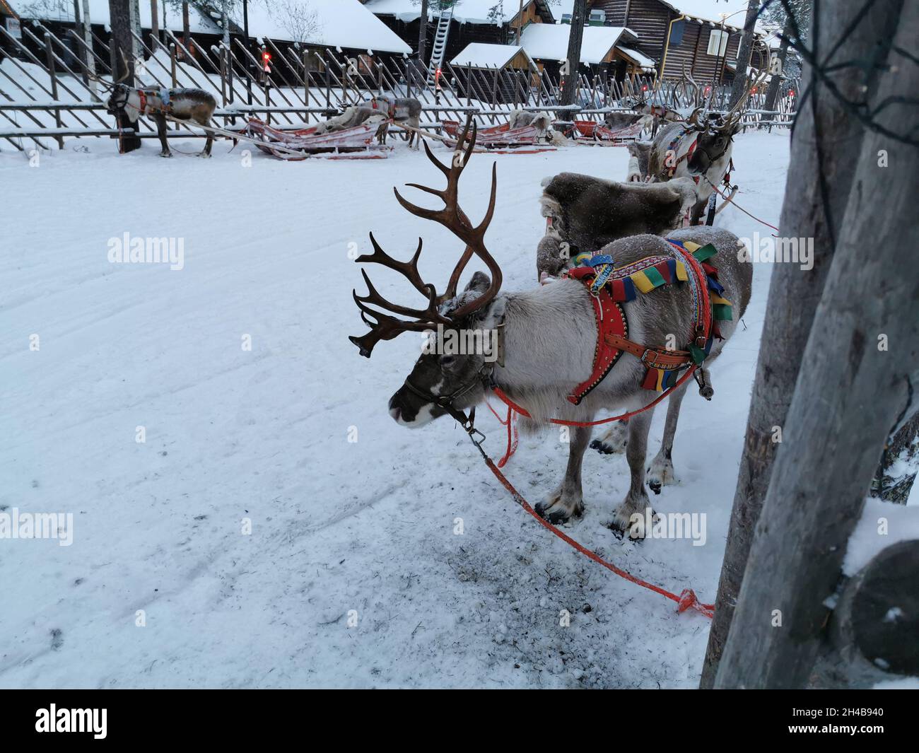 Santa reindeers sky hi-res stock photography and images - Alamy