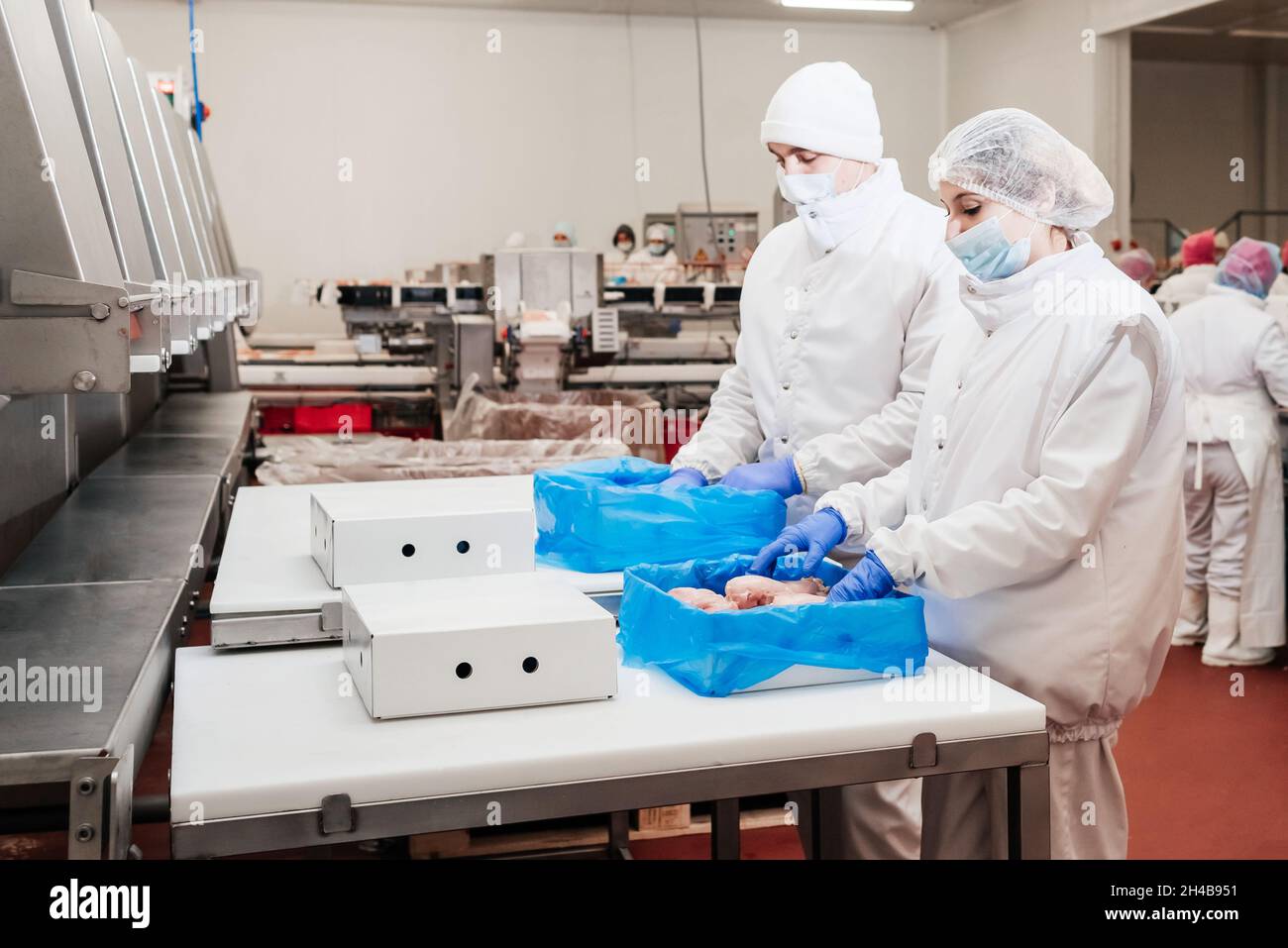 Automated production line with packaging and cutting of meat in modern ...