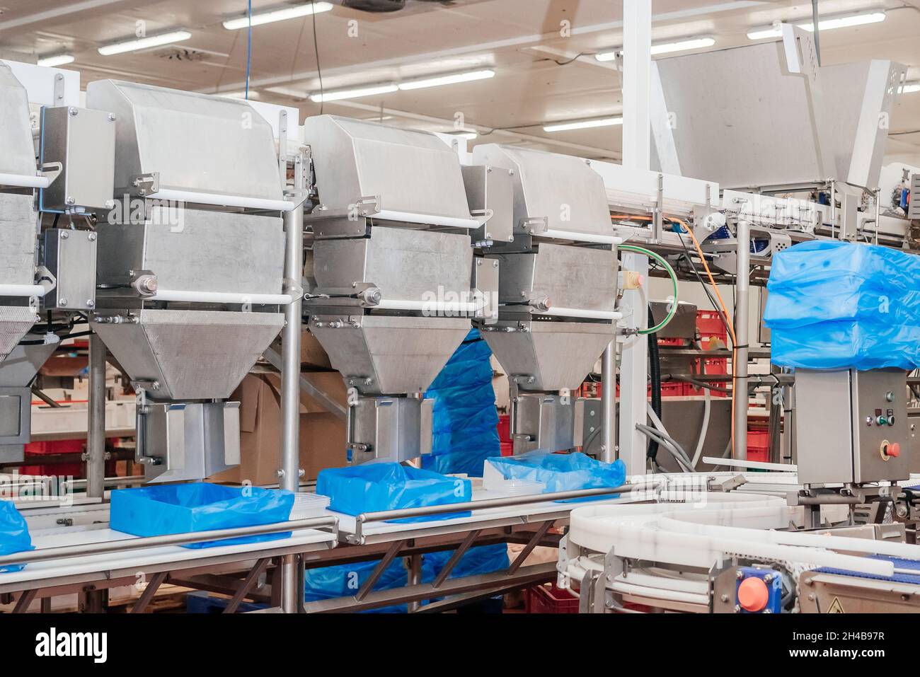 Modern Food Assembly Line