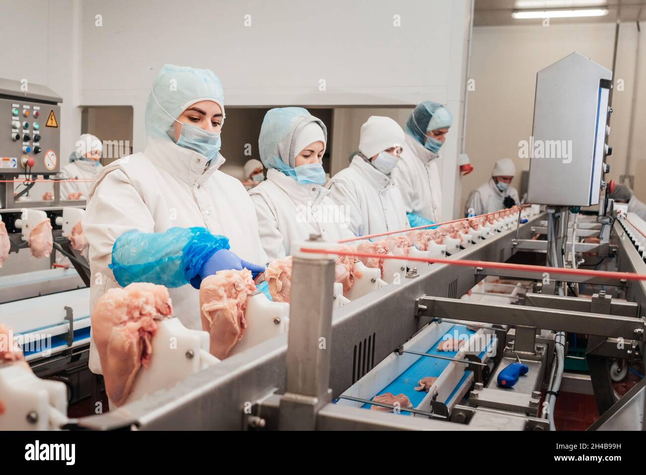 Modern poultry processing plant.Line for the production of semi ...