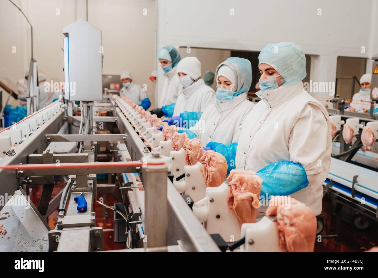 Modern poultry processing plant.Line for the production of semi ...